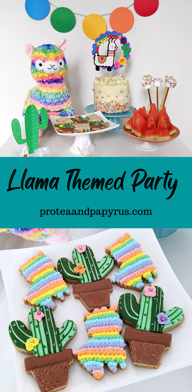 Fun and Colourful Llama Themed Party