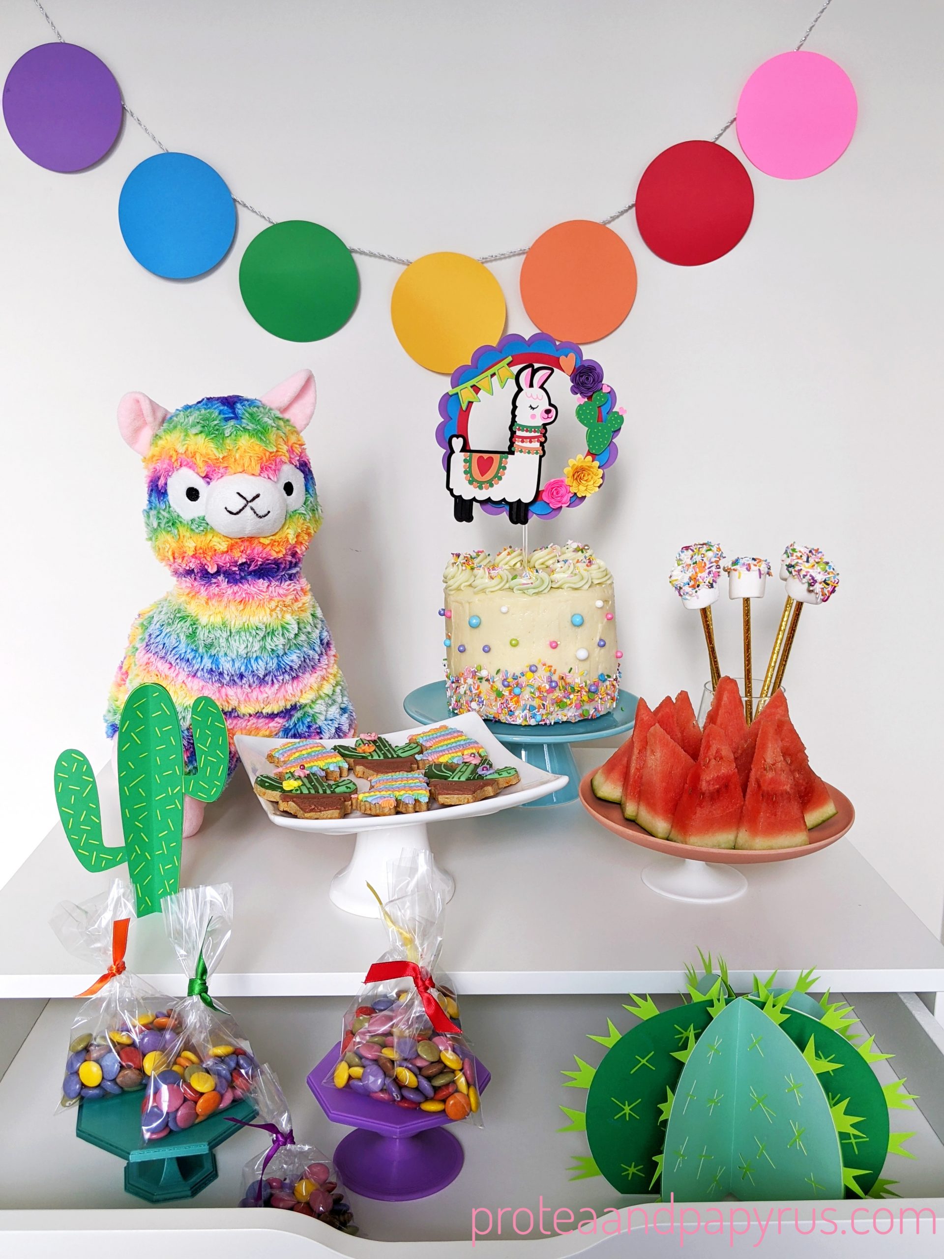 Fun and Colourful Llama Themed Party